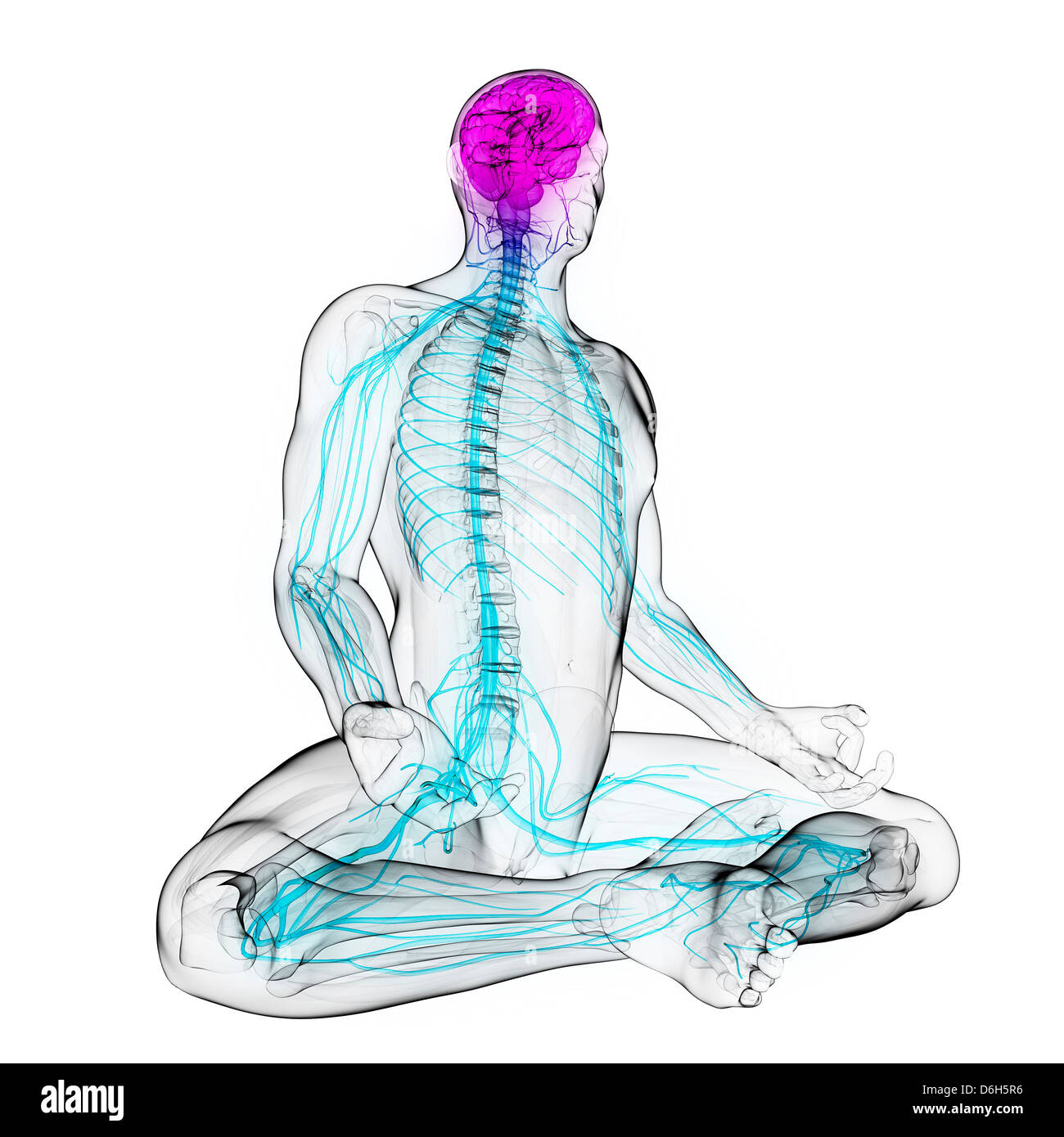 Position central Cut Out Stock Images & Pictures - Alamy