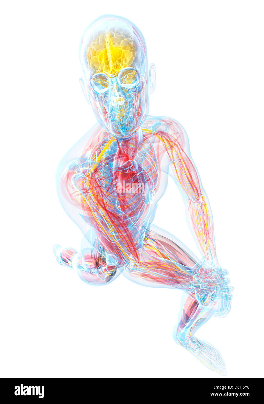Full Body View Male Nervous High Resolution Stock Photography and ...