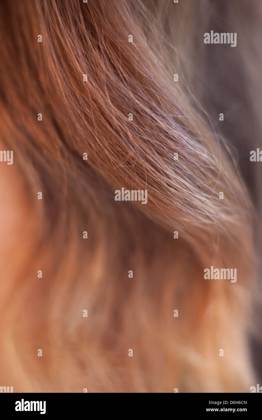 Human hair face obscured hi-res stock photography and images - Alamy
