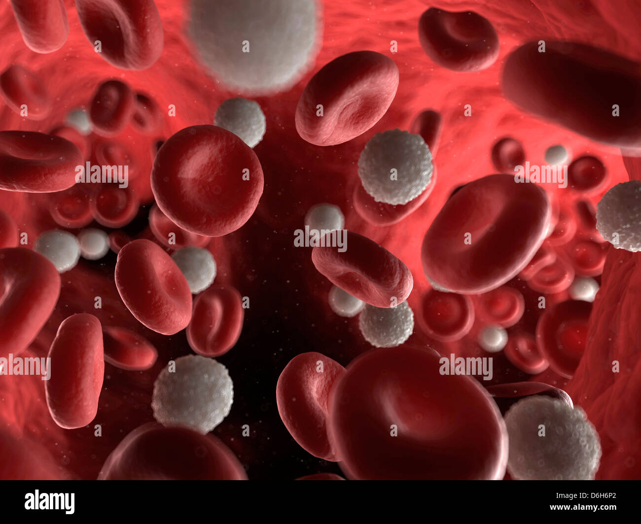 Blood stream, artwork Stock Photo - Alamy