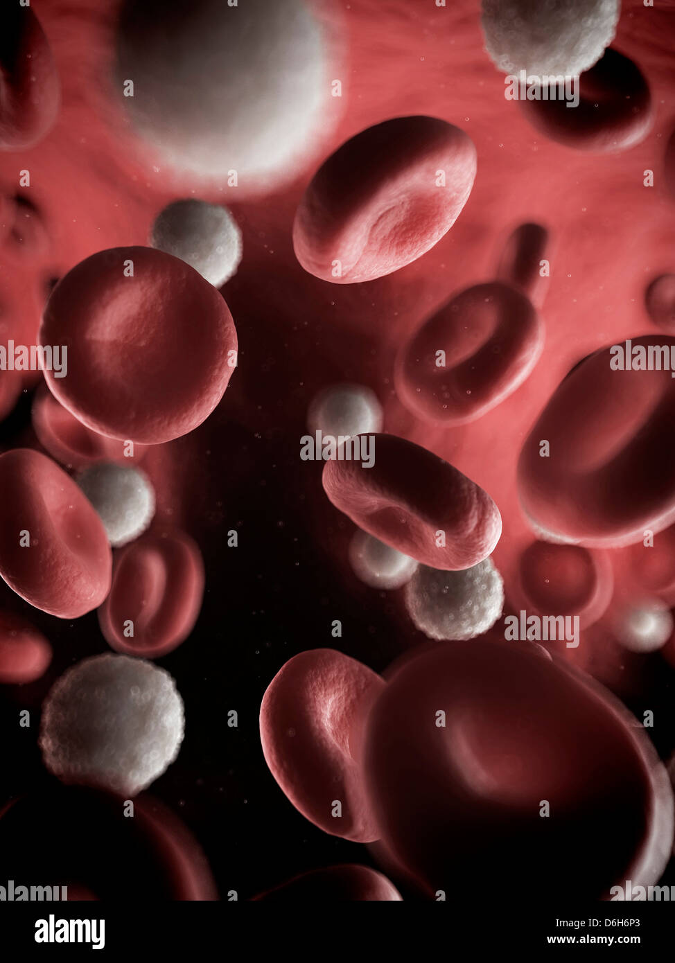 Blood stream, artwork Stock Photo - Alamy