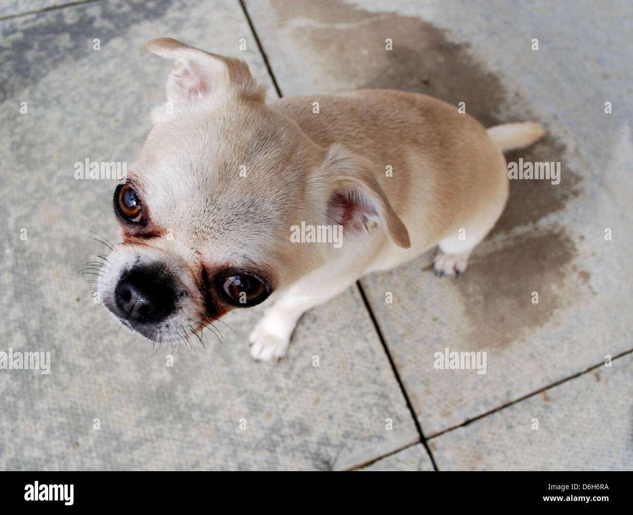 Chug hi-res stock photography and images - Alamy