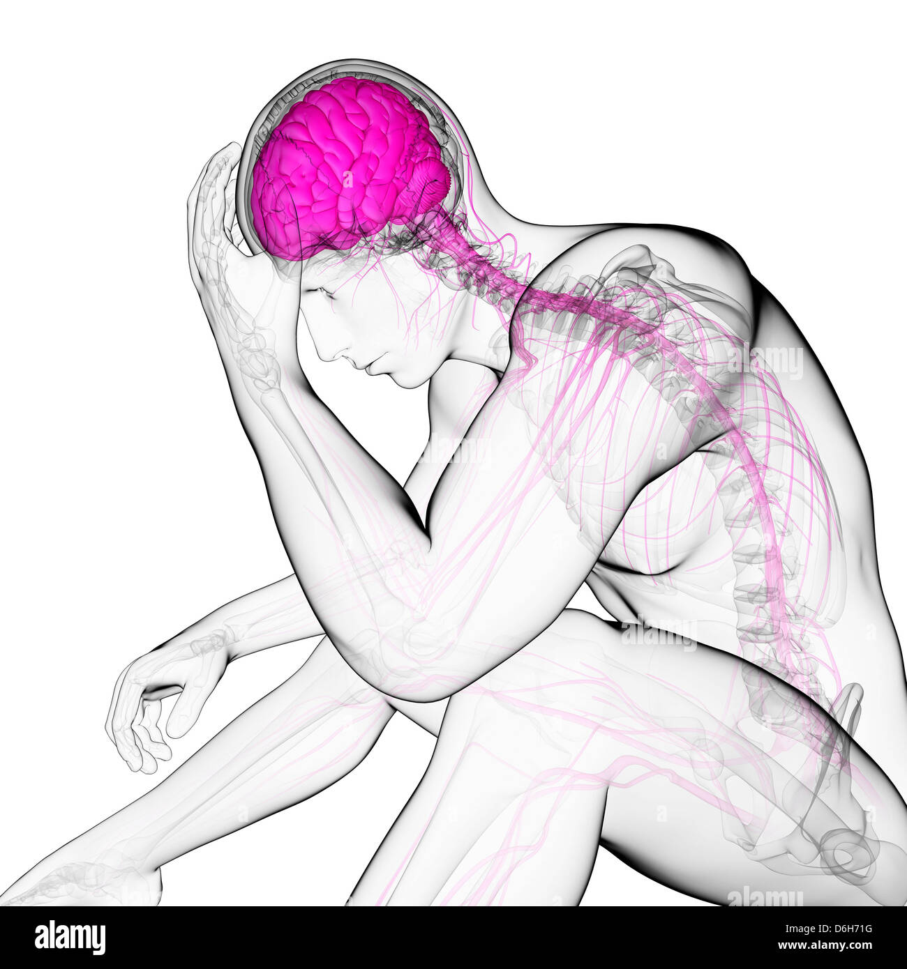Depression Brain High Resolution Stock Photography and Images - Alamy