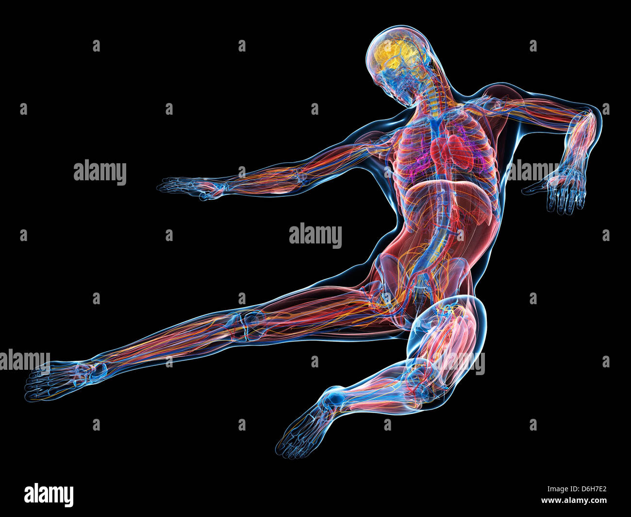 Full Body View Male Nervous High Resolution Stock Photography and ...