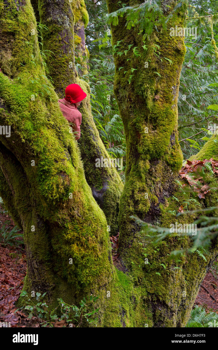 Woman climbing tree in forest Stock Photo - Alamy