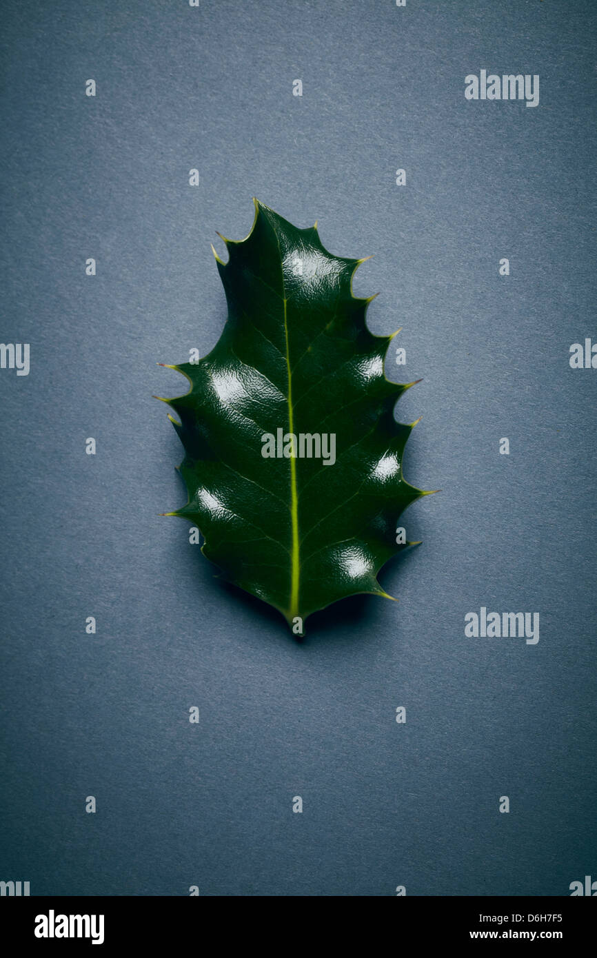 Elevated leaf hi-res stock photography and images - Alamy