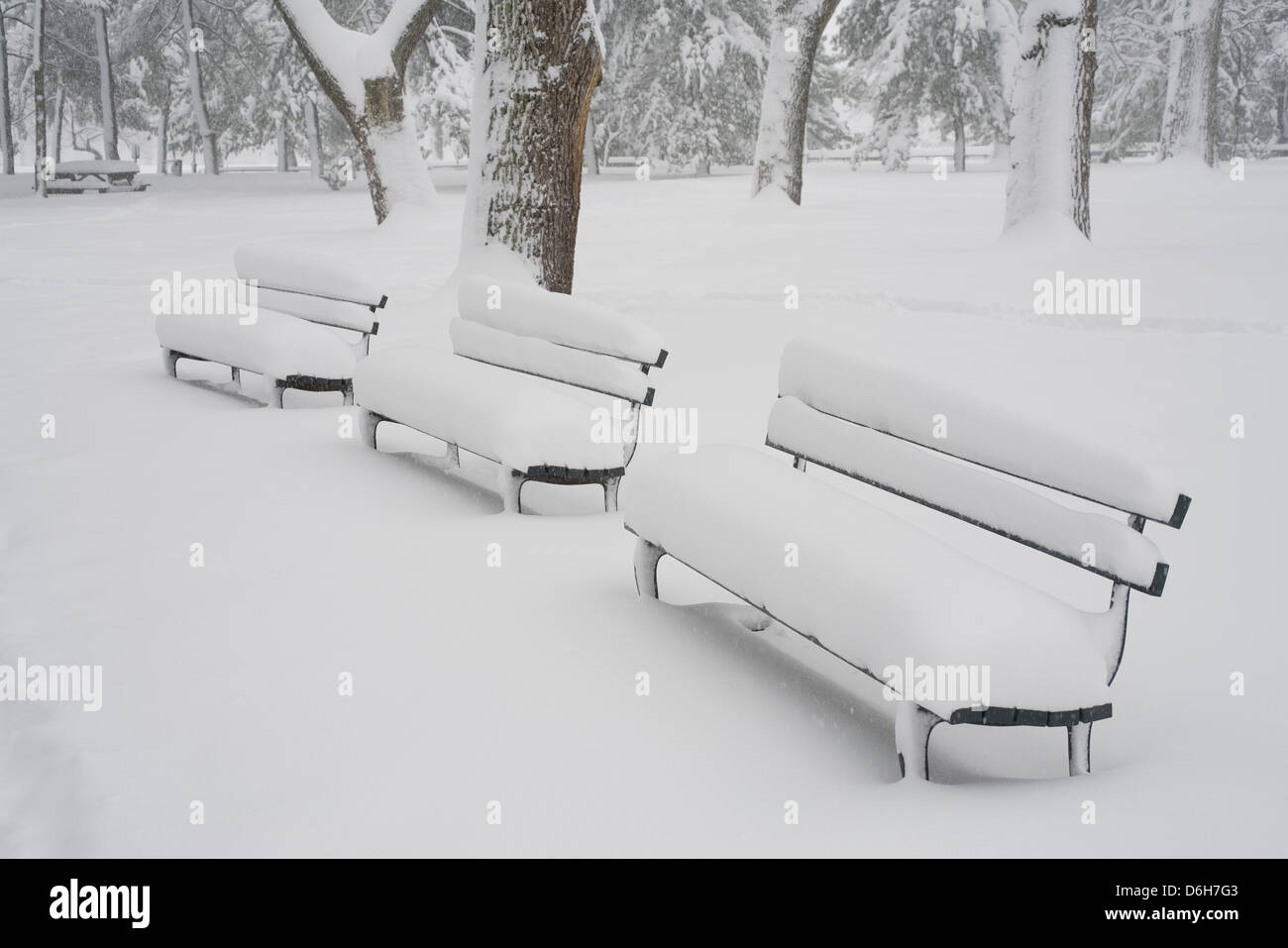 Snow covered benches in park Stock Photo - Alamy