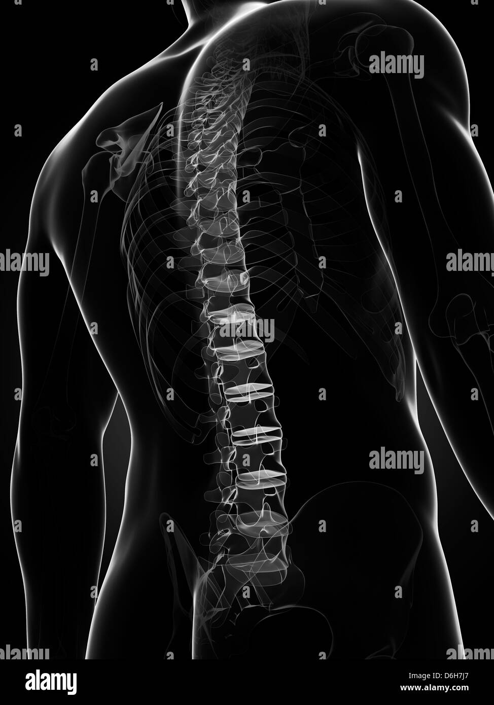 Back Rear View Spine High Resolution Stock Photography and Images - Alamy