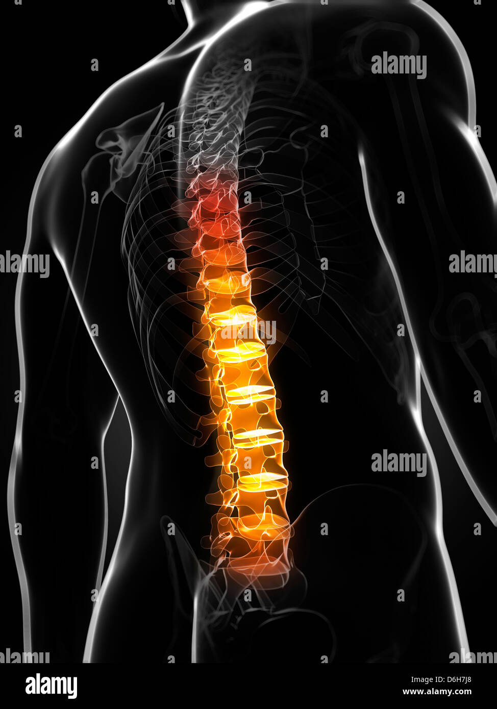Back pain conceptual artwork hi-res stock photography and images - Alamy
