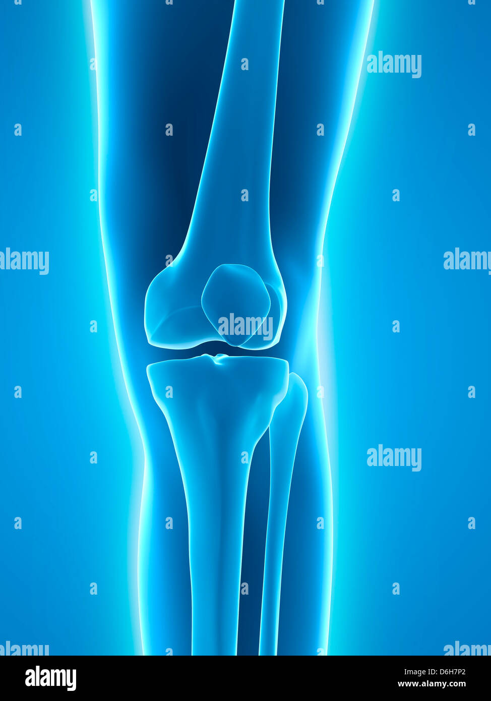 Healthy knee hi-res stock photography and images - Alamy