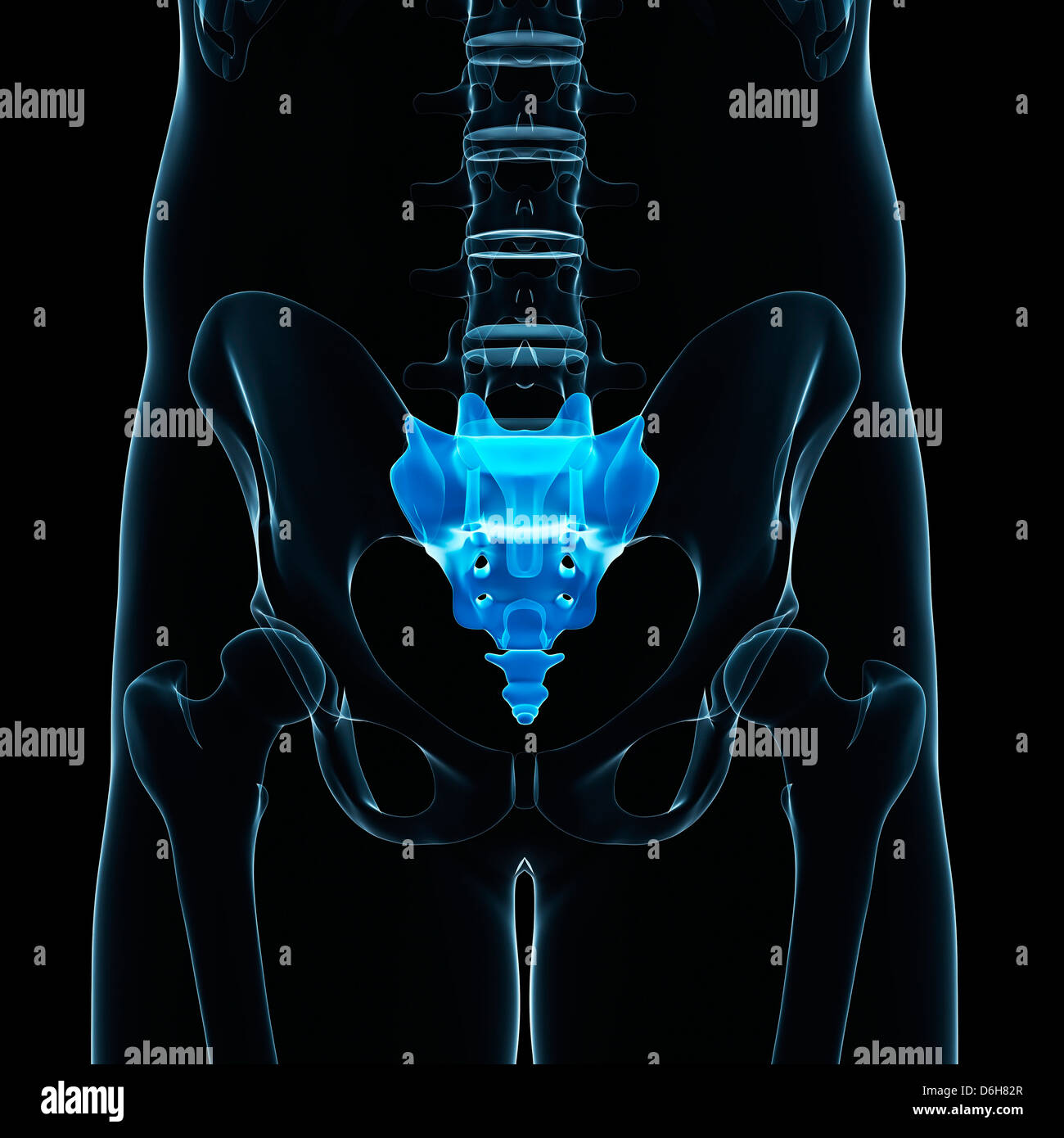 Sacrum artwork hi-res stock photography and images - Alamy