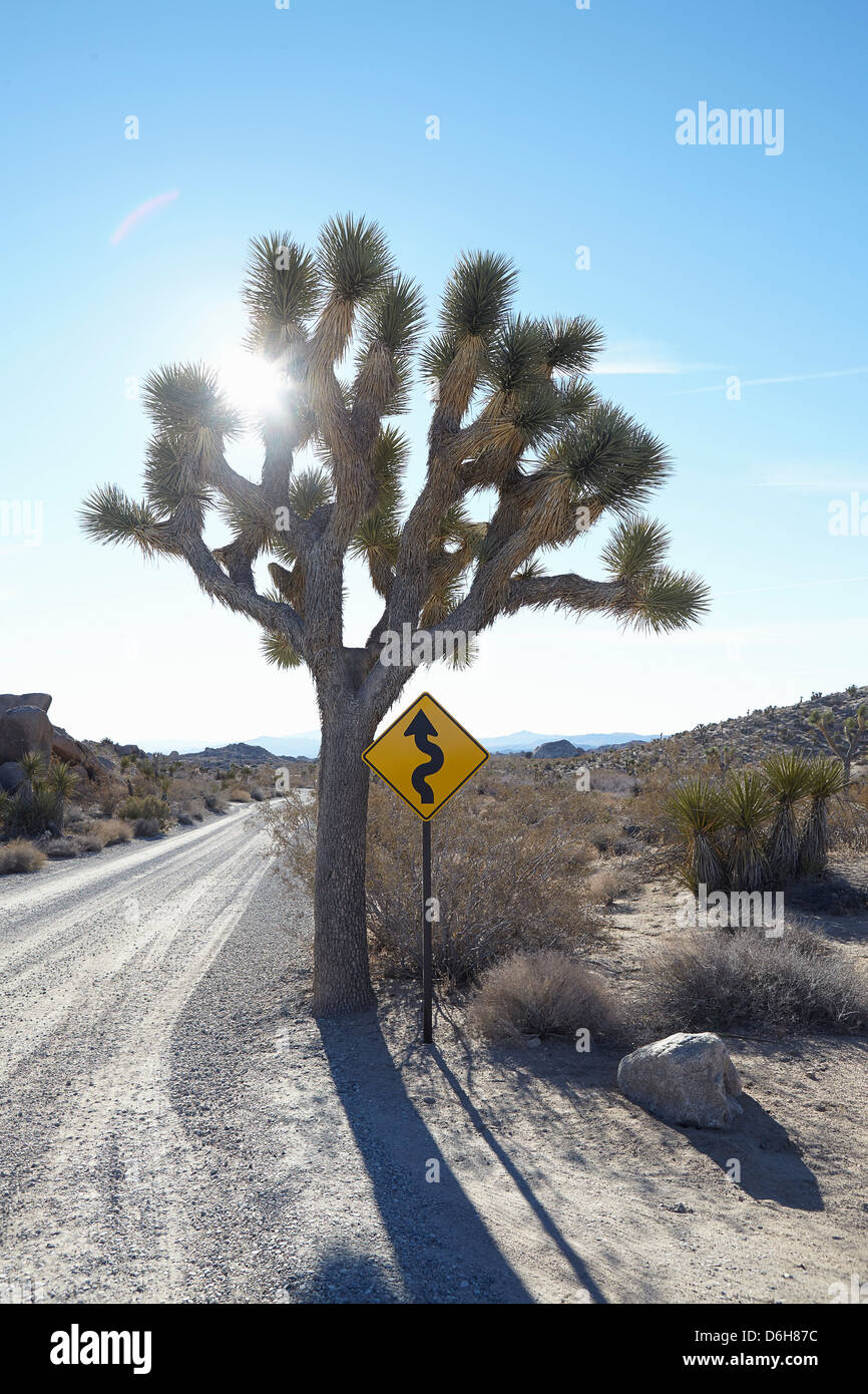 Tree twisting road sign around hi-res stock photography and images - Alamy