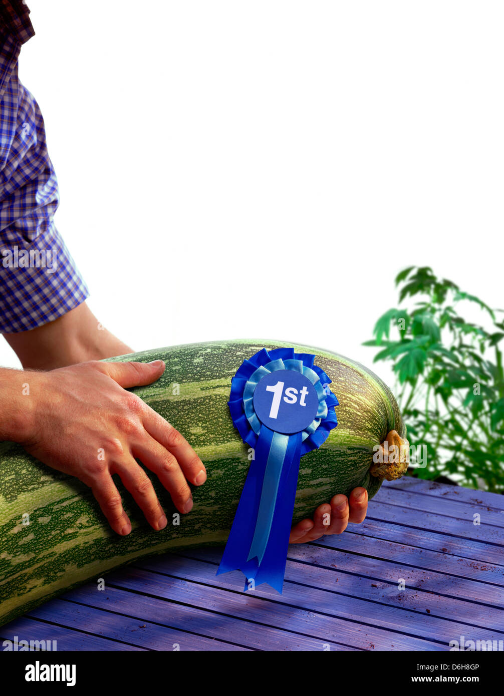 Prize marrows hi-res stock photography and images - Alamy