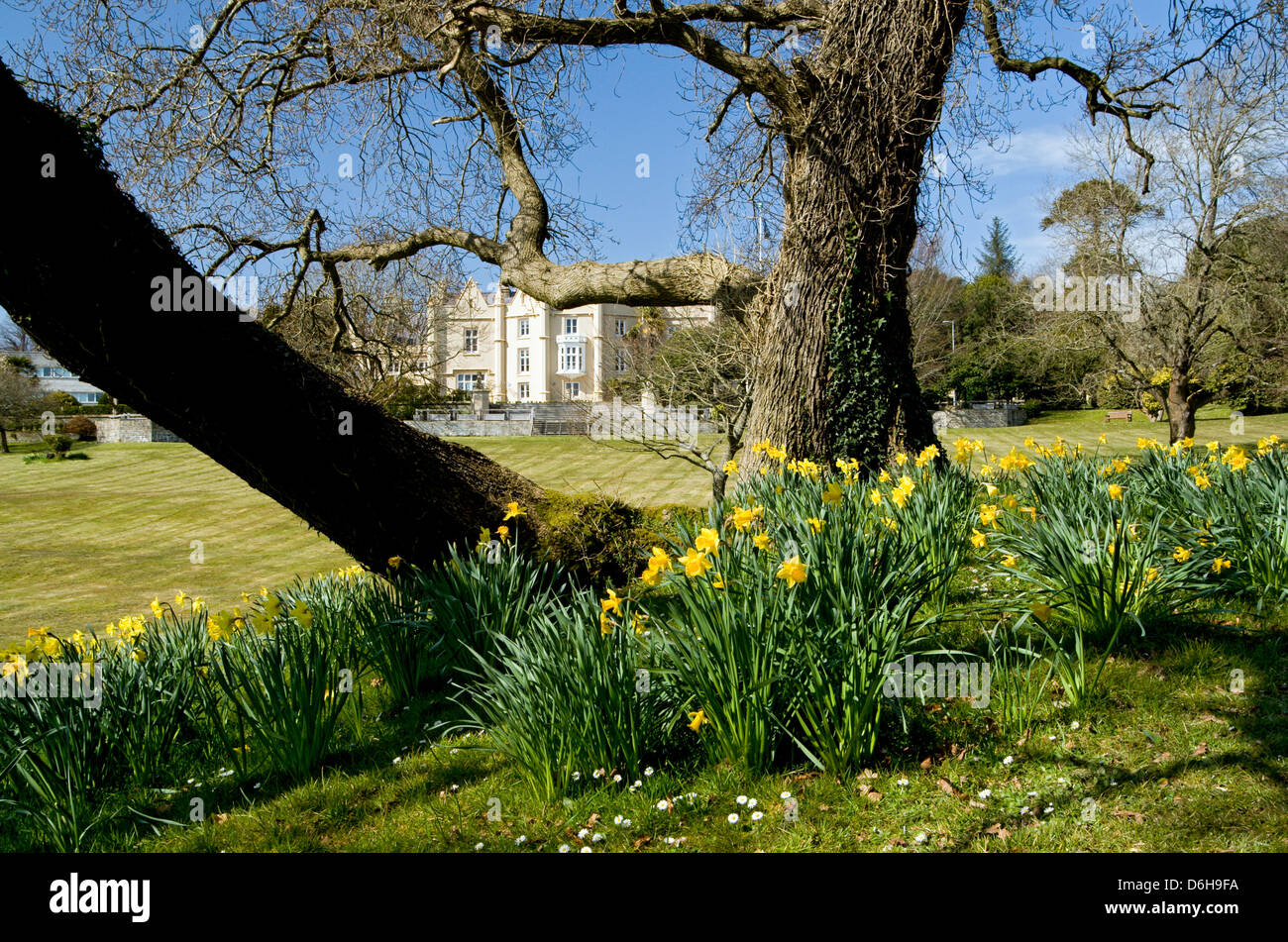 19th century Singleton Abbey part of Swansea University wales uk Stock ...