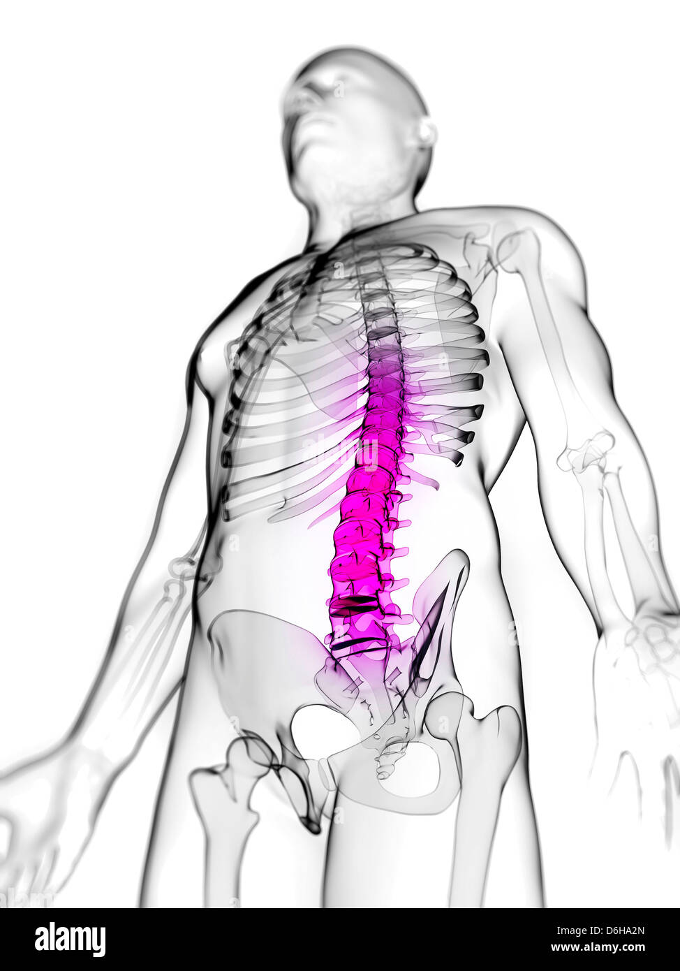 Back pain conceptual artwork hi-res stock photography and images - Alamy