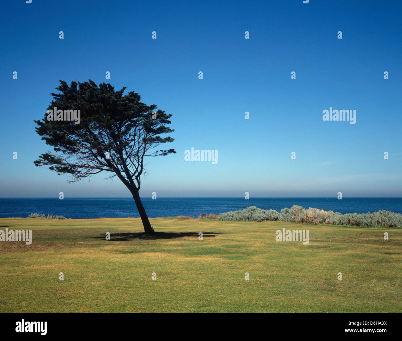 Victoria baum hi-res stock photography and images - Alamy
