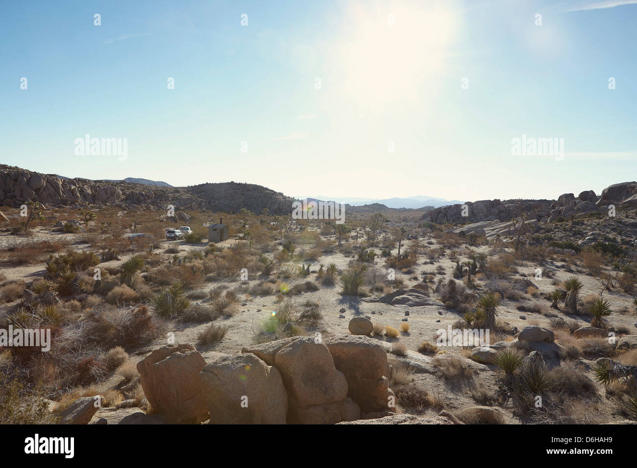 Sun shining over desert landscape Stock Photo - Alamy