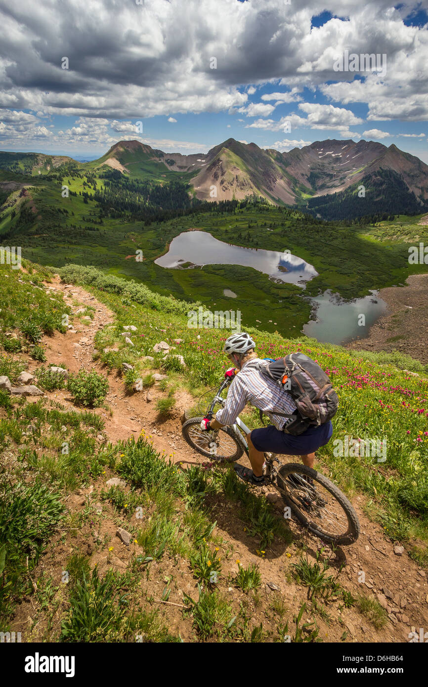 Mountain biker on green trail Stock Photo - Alamy
