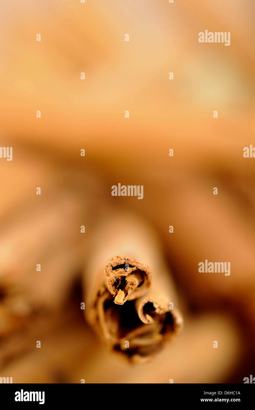 Cinnamon spice sticks Stock Photo - Alamy