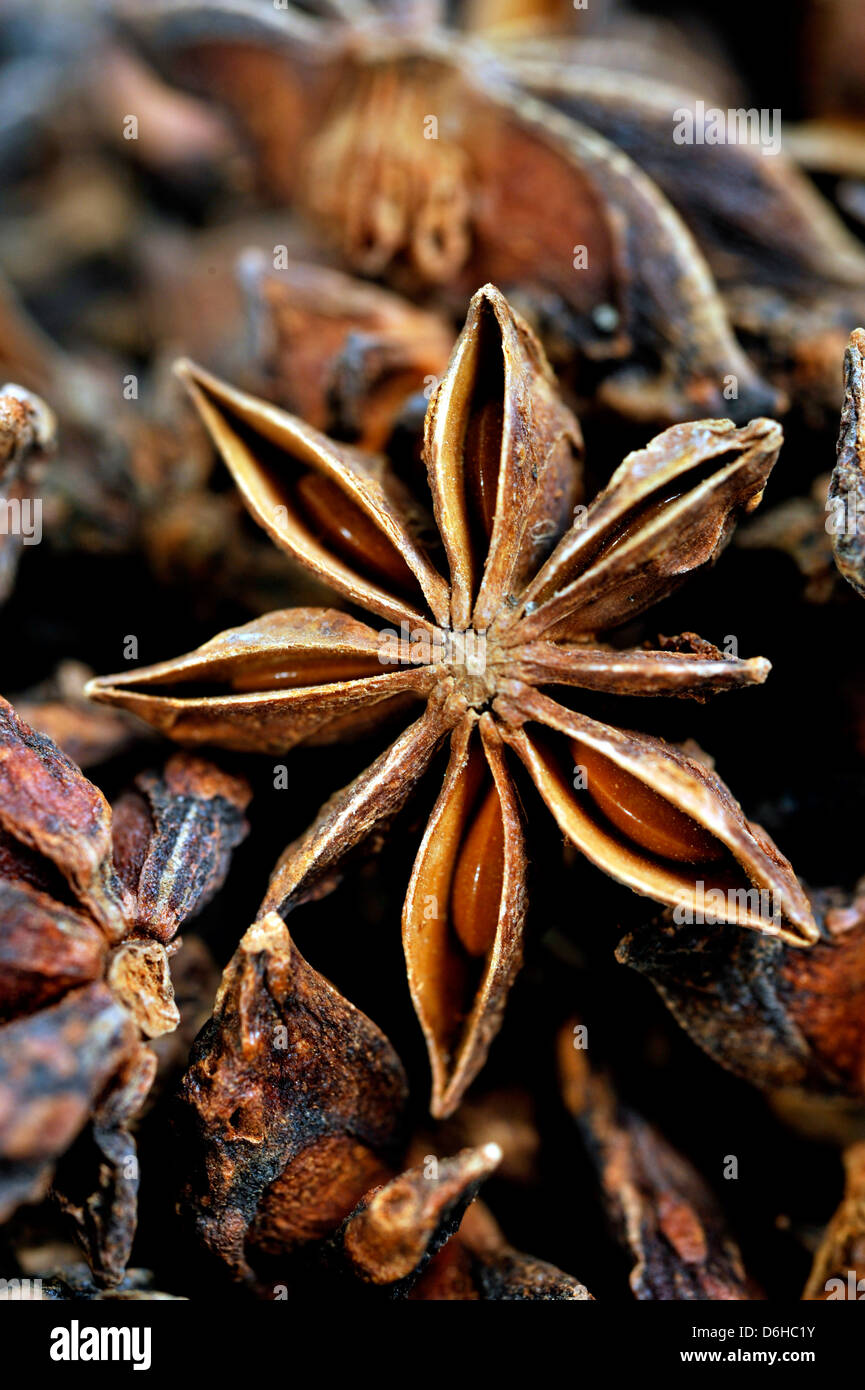 Star anise spice Stock Photo - Alamy