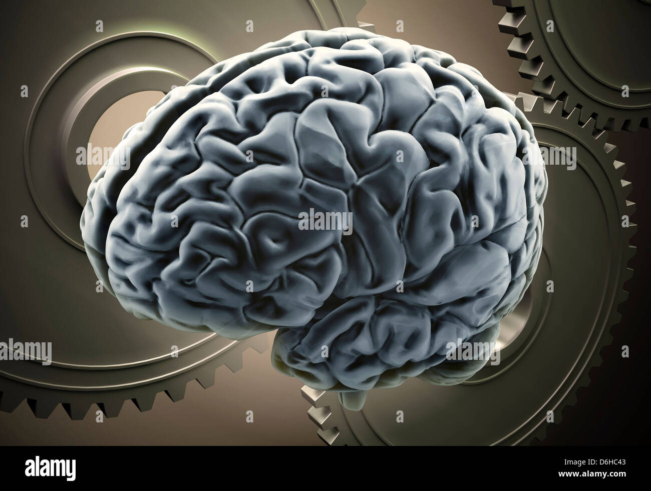 Intelligence, conceptual artwork Stock Photo - Alamy