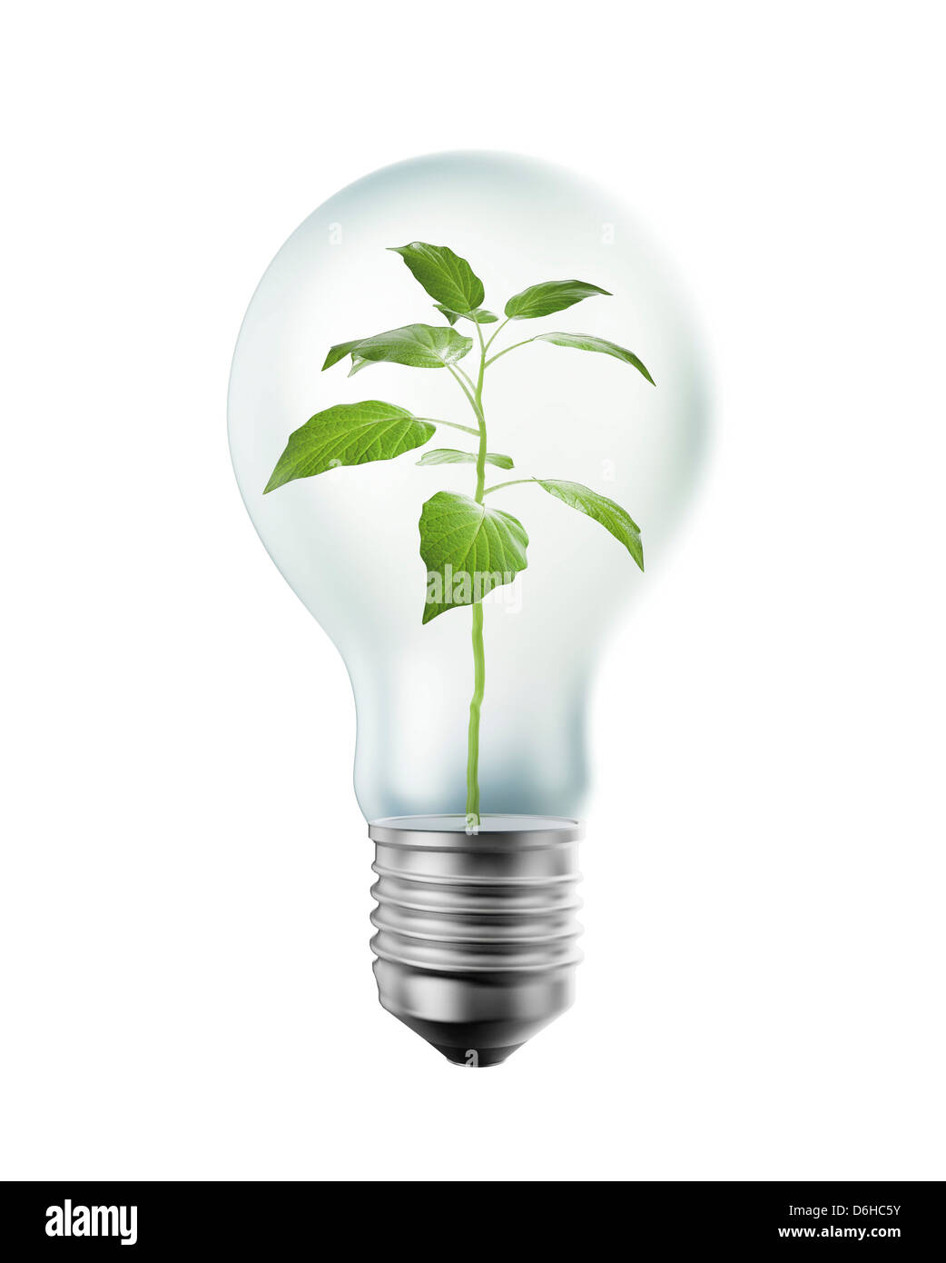 Growth energy Cut Out Stock Images & Pictures - Alamy