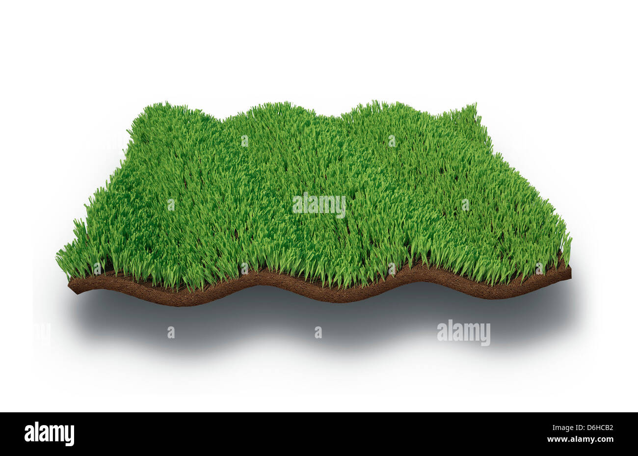 Lawn artwork hi-res stock photography and images - Alamy