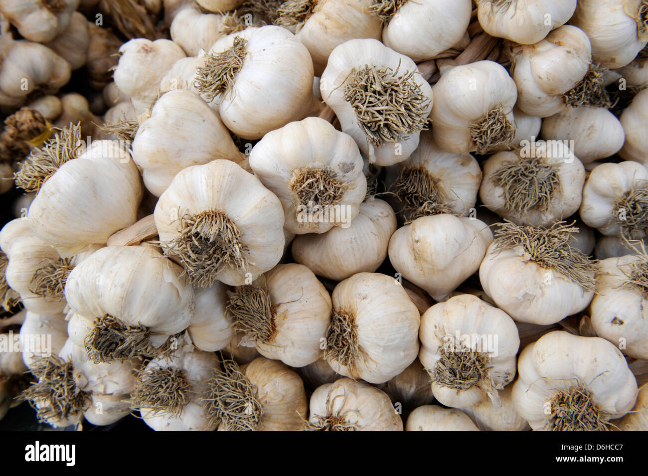 Garlic bulb string on sale in a market in Italy Stock Photo - Alamy