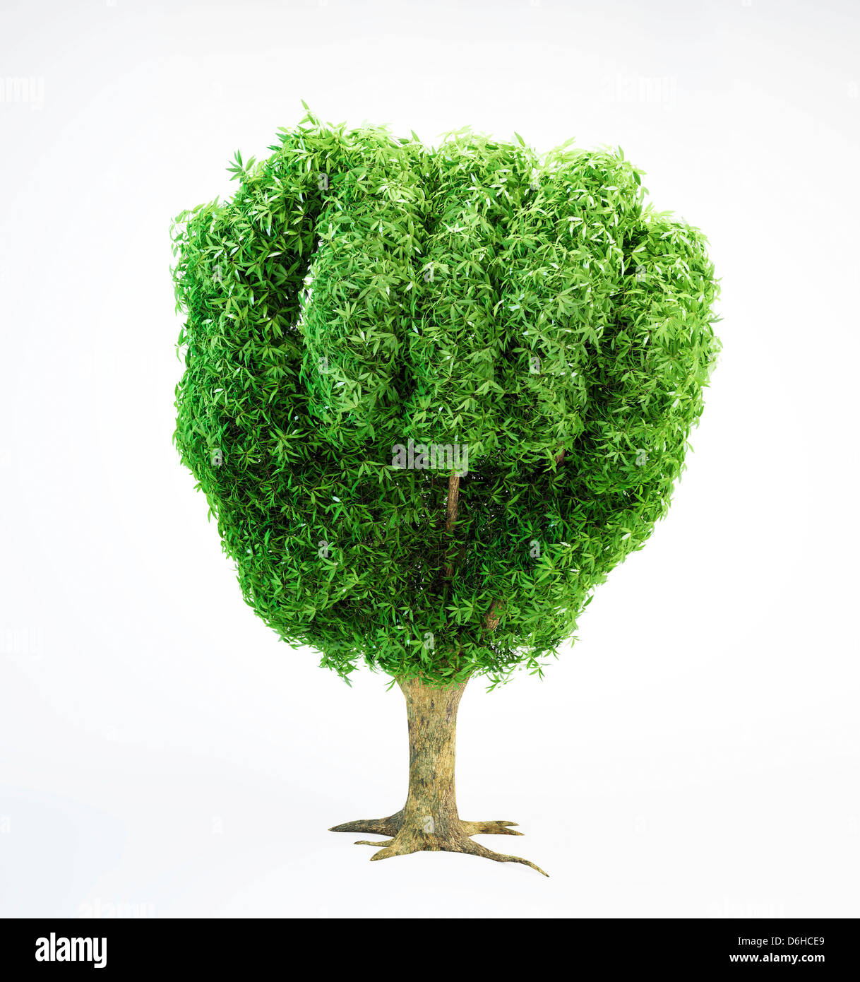 Fist-shaped tree, artwork Stock Photo - Alamy