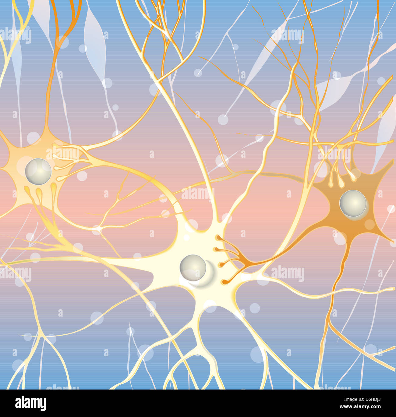 Axons hi-res stock photography and images - Alamy