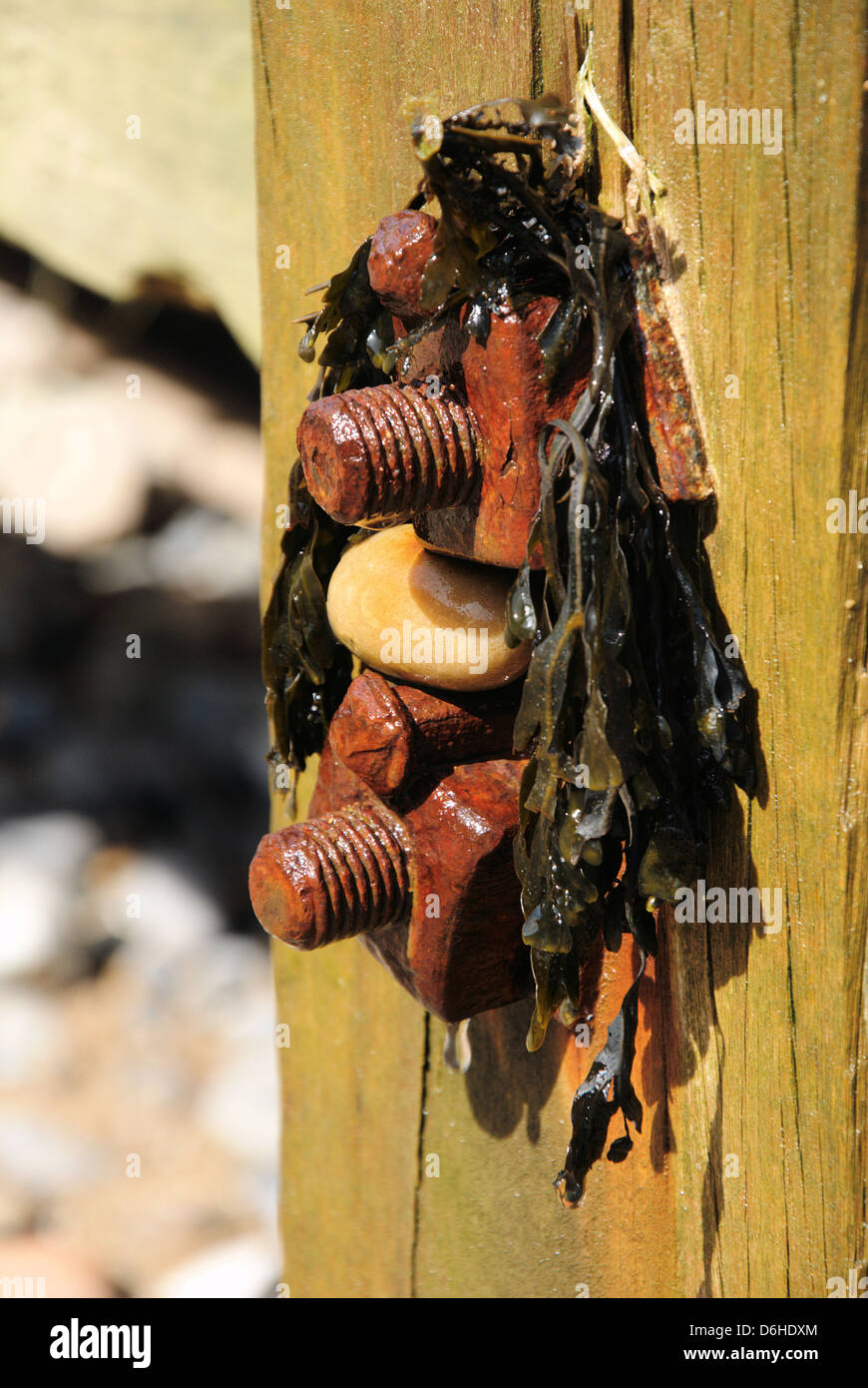 Groynes sheringham norfolk uk hi-res stock photography and images - Alamy