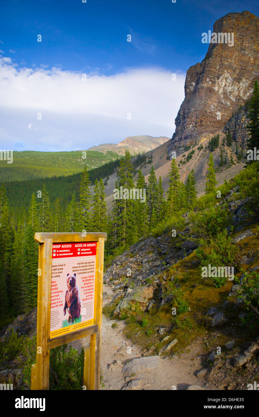 Bear sigh on hiking trail Banff National Park, Canada Stock Photo - Alamy