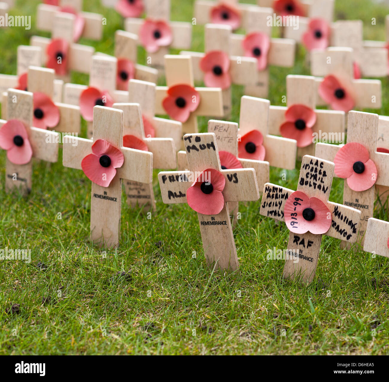 Wooden remembrance crosses hi-res stock photography and images - Alamy