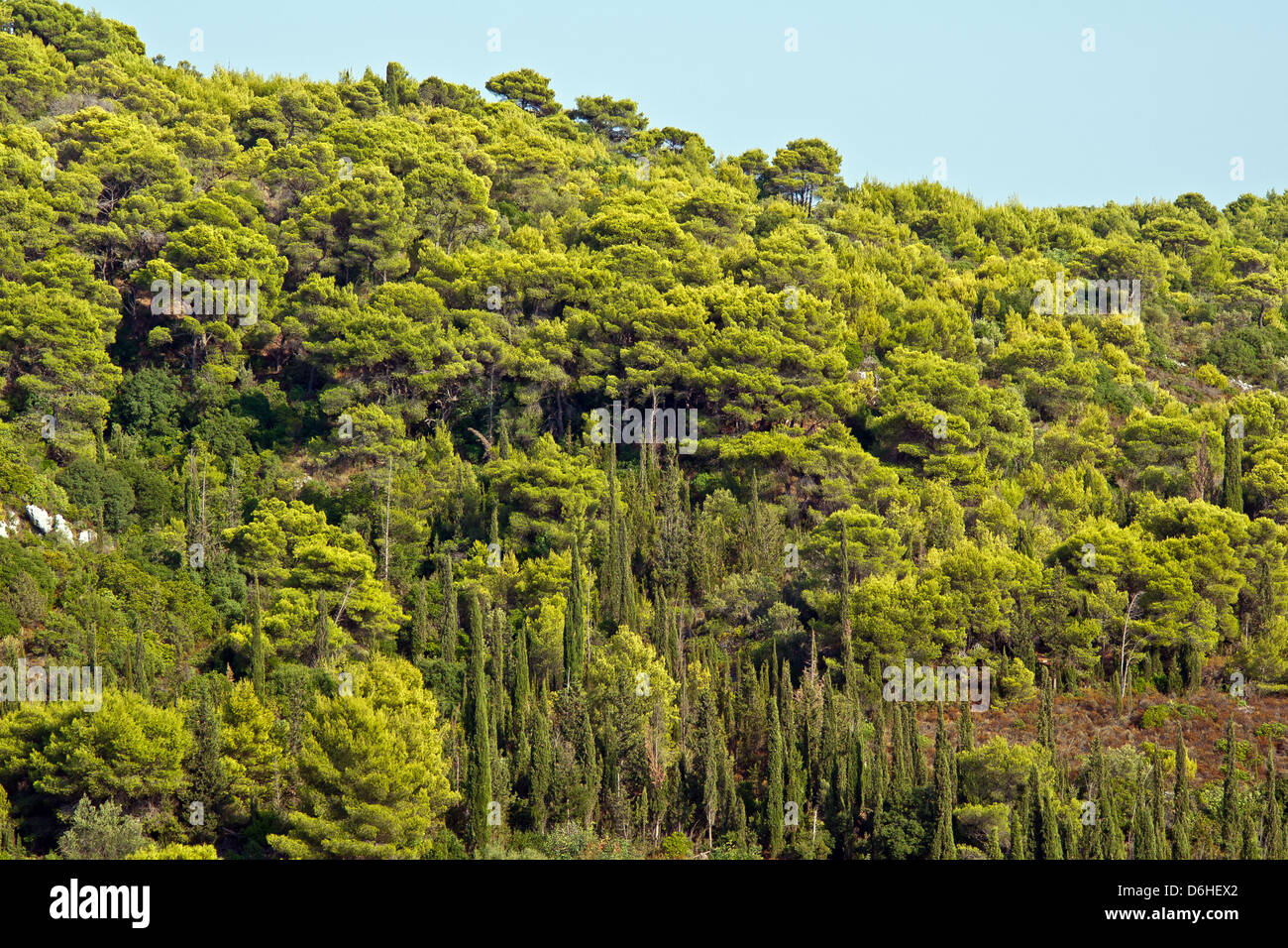 Forest mountains zakynthos island hi-res stock photography and images ...