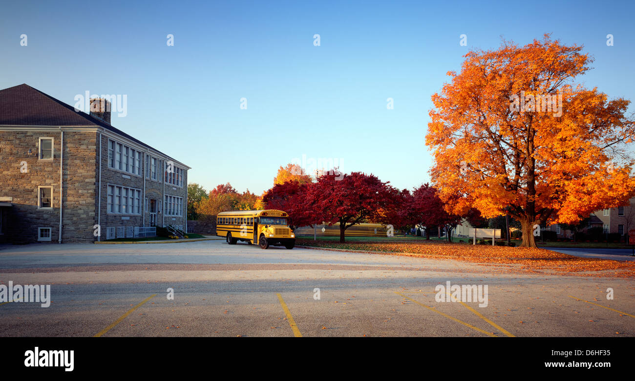 School bus at an elementary school. A large oak tree is in full autumn ...