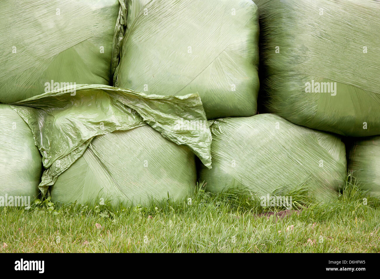stack of grass wrapped in plastic Stock Photo - Alamy
