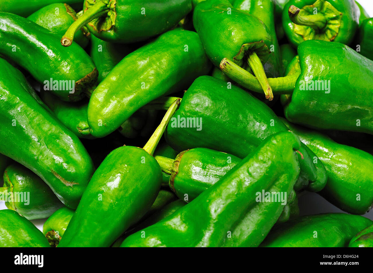 Chilli Pepper ‘padron’, High Resolution Stock Photography and Images ...