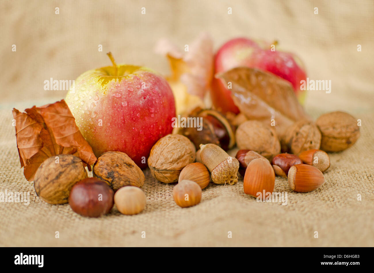 Autumn fruits with fallen leaves on jute background Stock Photo - Alamy