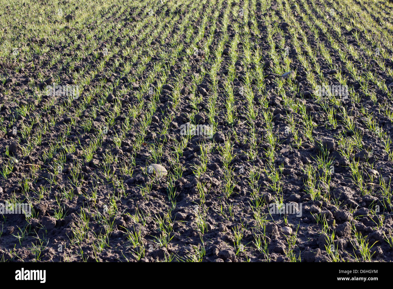 Planting farm field in hi-res stock photography and images - Alamy
