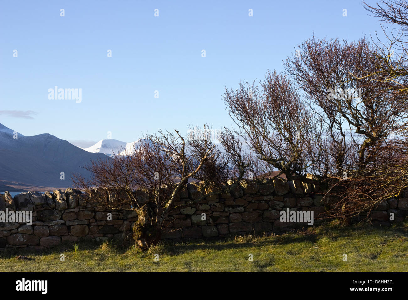 View of Foinaven, Sutherland Stock Photo - Alamy