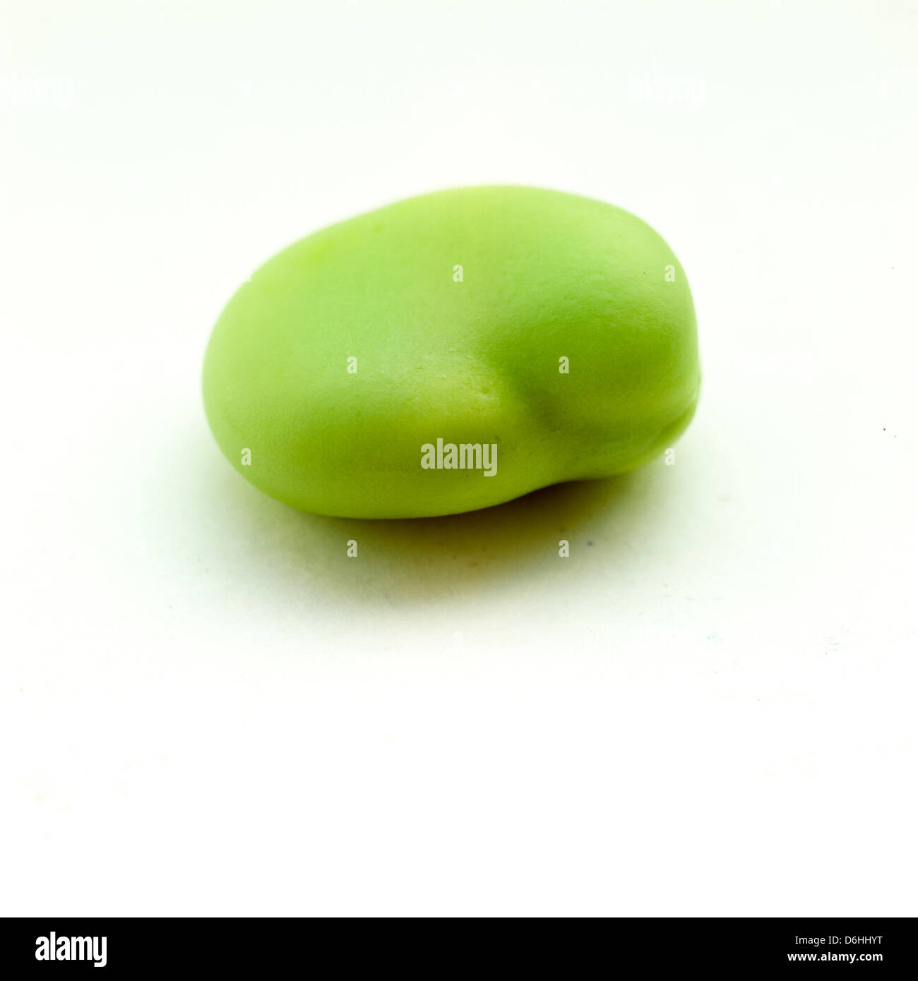 Single broad bean hi-res stock photography and images - Alamy