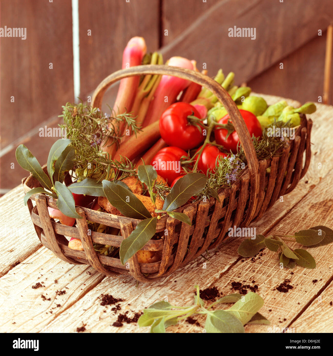 Garden trug full of fresh vegetables hi-res stock photography and ...