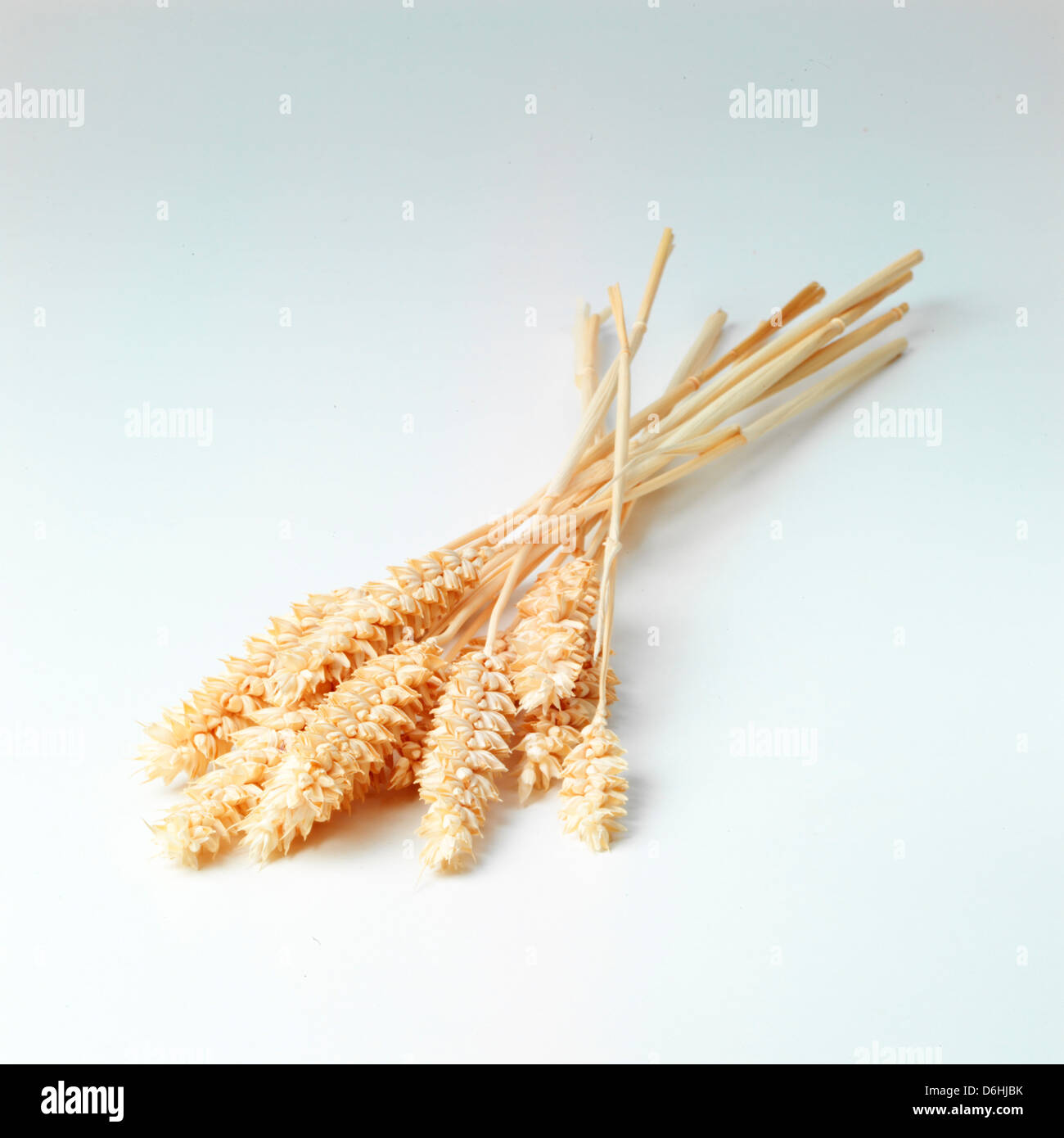 Wheat ears photos hi-res stock photography and images - Alamy