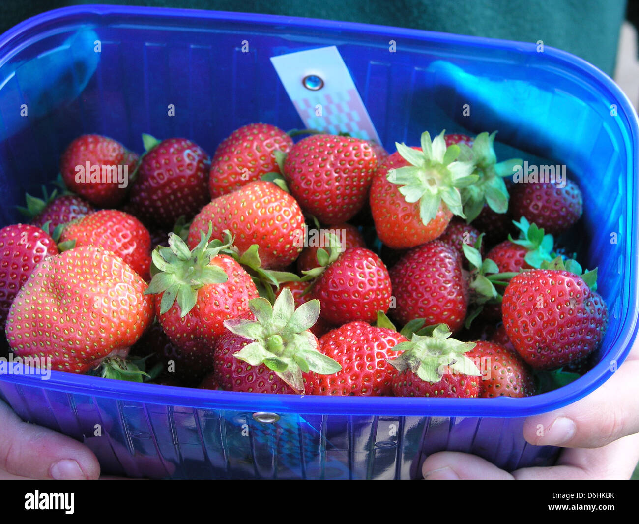 Blue punnet hi-res stock photography and images - Alamy