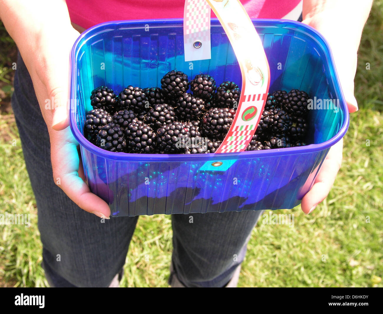 Punnet of blackberries Stock Photo - Alamy