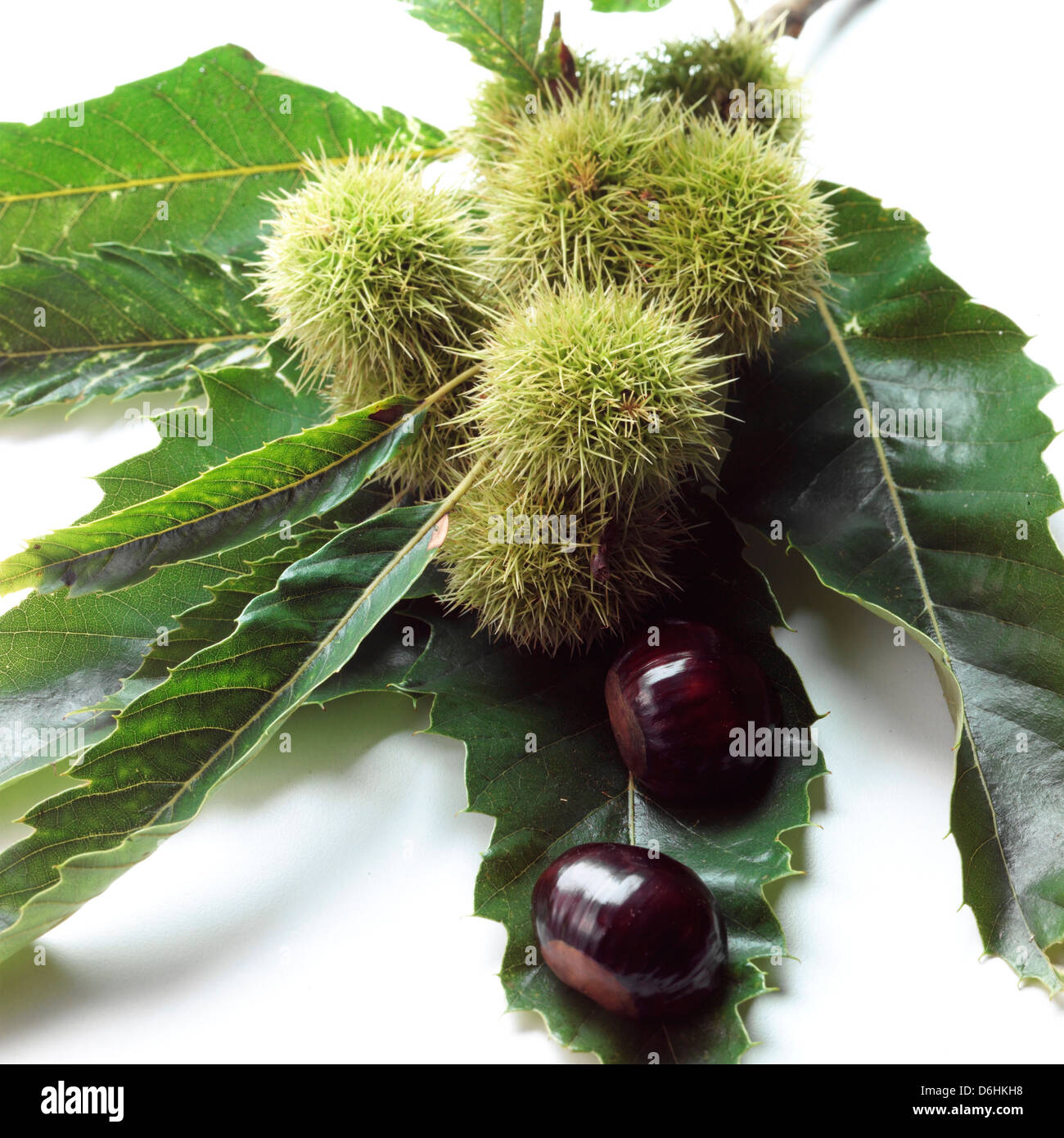 Cluster fruits hi-res stock photography and images - Alamy