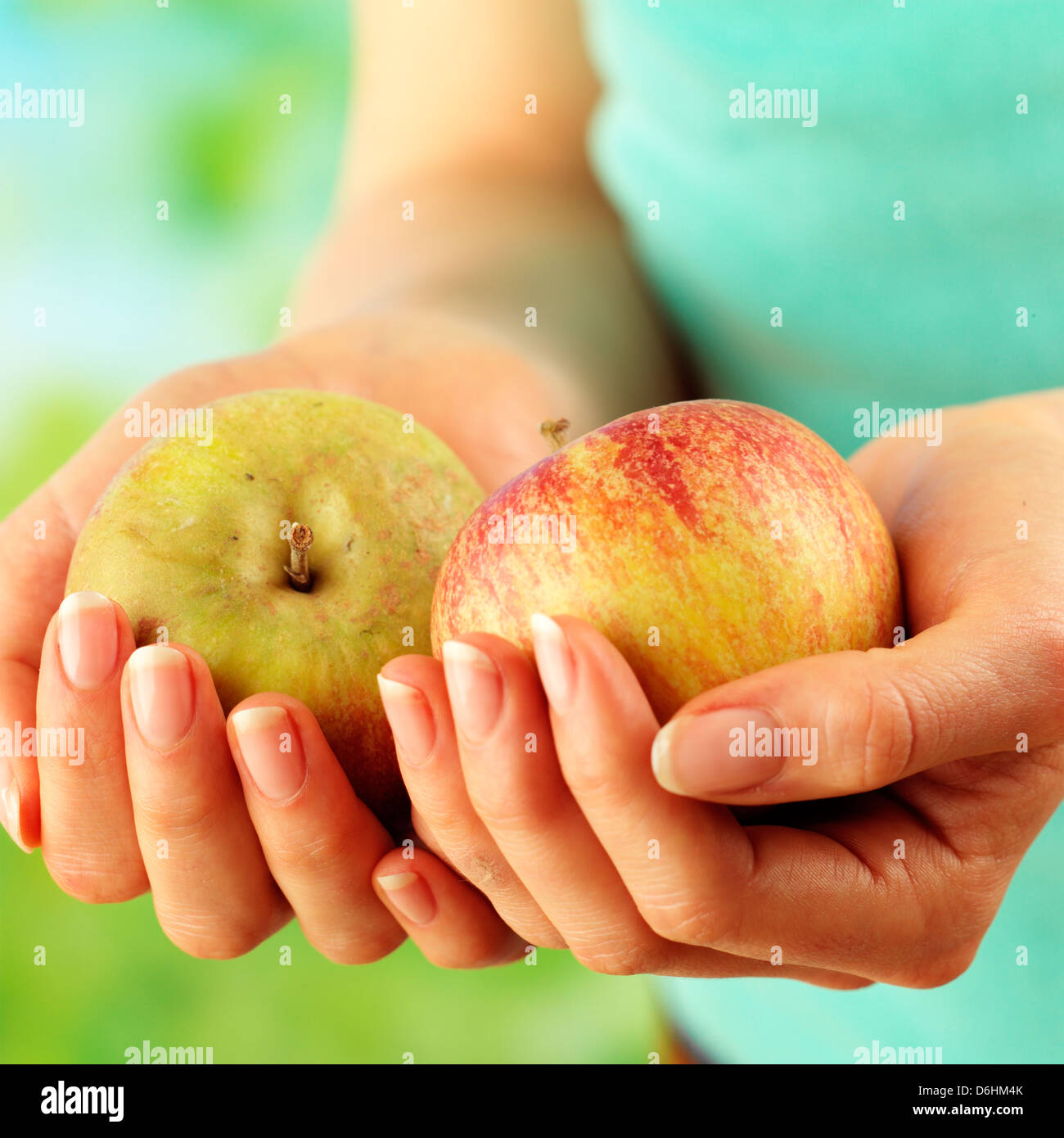 Hands holding apples Stock Photo - Alamy