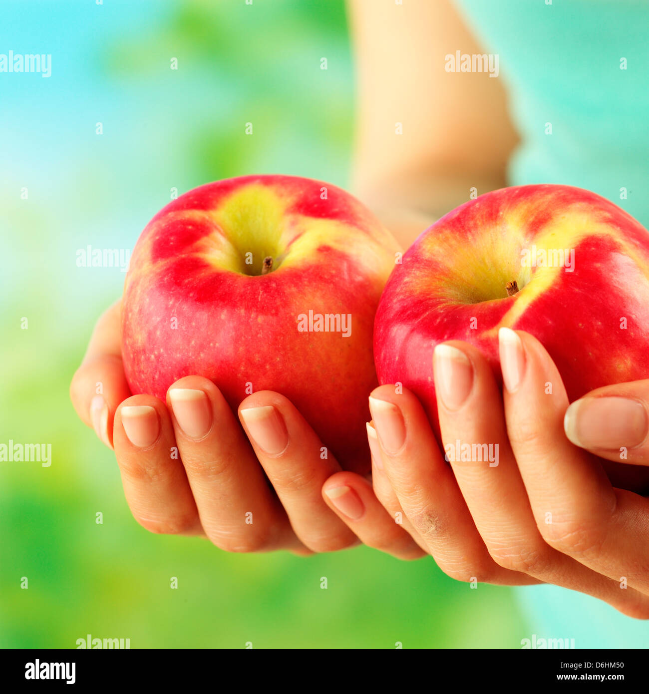 hands holding apples Stock Photo - Alamy