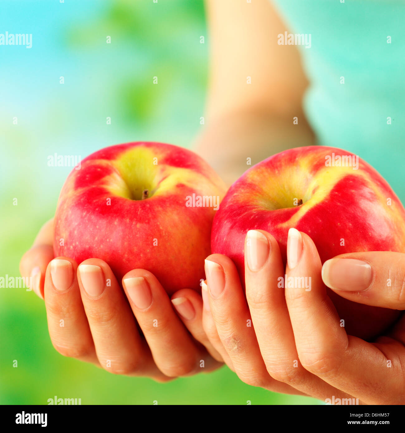 hands holding apples Stock Photo - Alamy