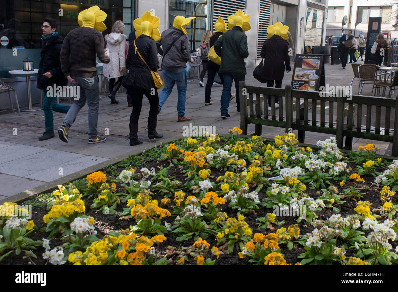 Strange daffodil hi-res stock photography and images - Alamy
